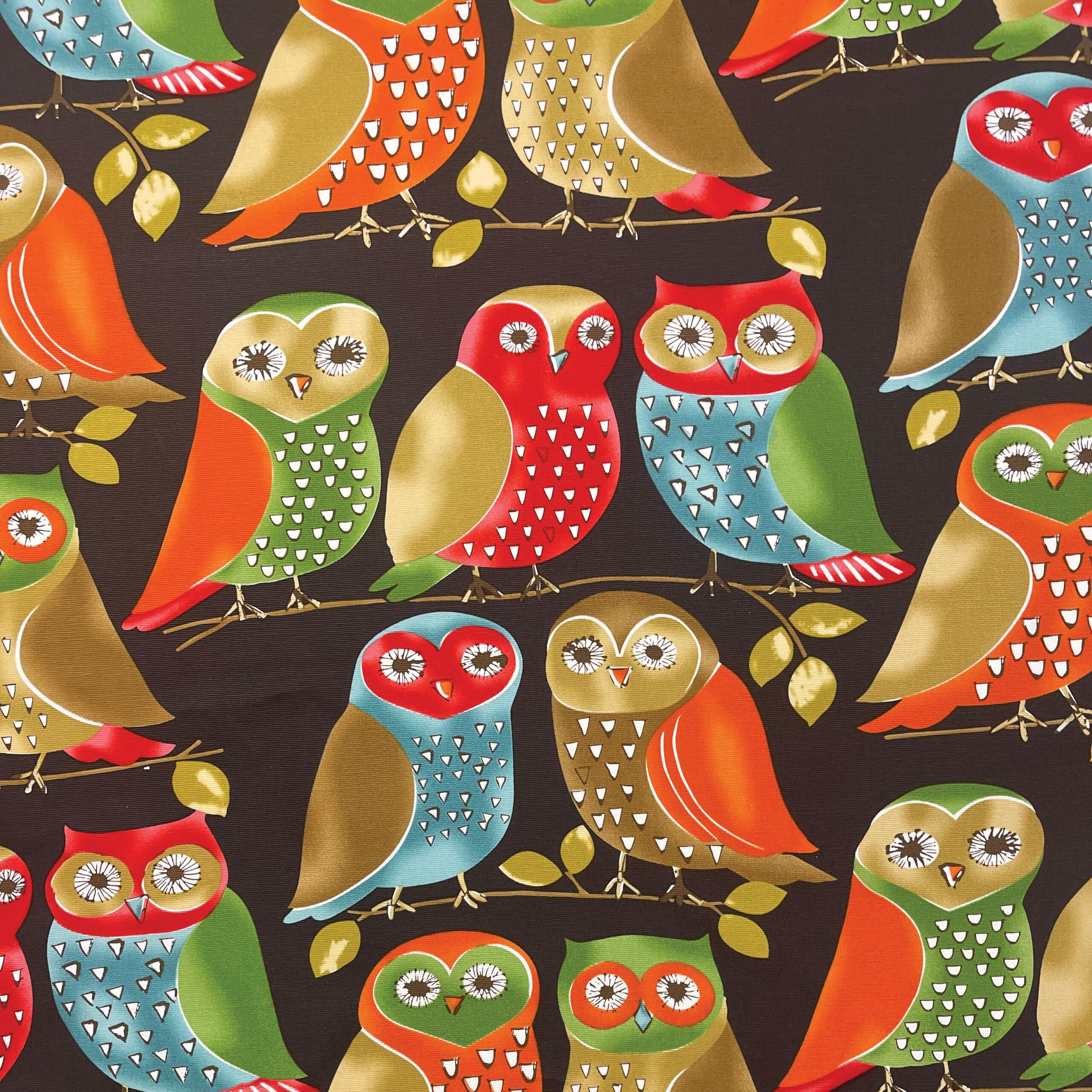 Printed Canvas - Bright Owls - Ackroyd and Adams Ltd